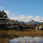 Ooty - Day Trip to Bellikkal Estate - Why You Should Consider This Tour