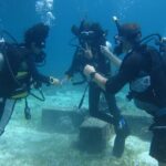 Open Water Course (PADI) - A Complete Look at the Cebu PADI Open Water Course