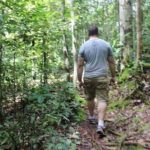 Orangutan Tanjung Puting Wildlife Trail & Arut River 5 Days - The Real Value of the Tour