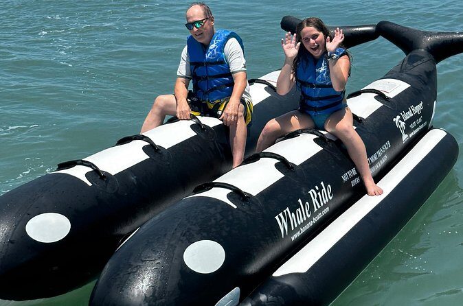 Orca Whale Inflatable Rides - The Authenticity and Value of the Experience