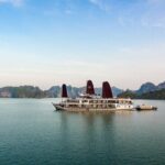 Orchid Trendy Cruises 2 Days/1 Night 5 Star All included - Who Will Love This Cruise?