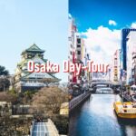 Osaka: 10-hour Customizable Tour with Private Car - The Experience: What to Expect from Your Custom Osaka Day