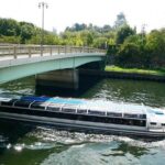 Osaka Afternoon Walking Tour Round-trip from Umeda or Namba - A Closer Look at the Experience