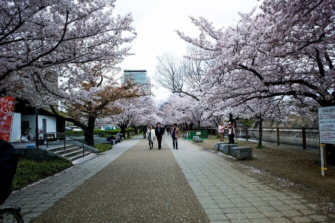 Osaka Castle 3 Hours Historical Walking Tour - A Detailed Breakdown