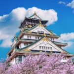 Osaka Cherry Blossom Tour with a Local: 100% Personalized Private - The Experience: What You Can Expect