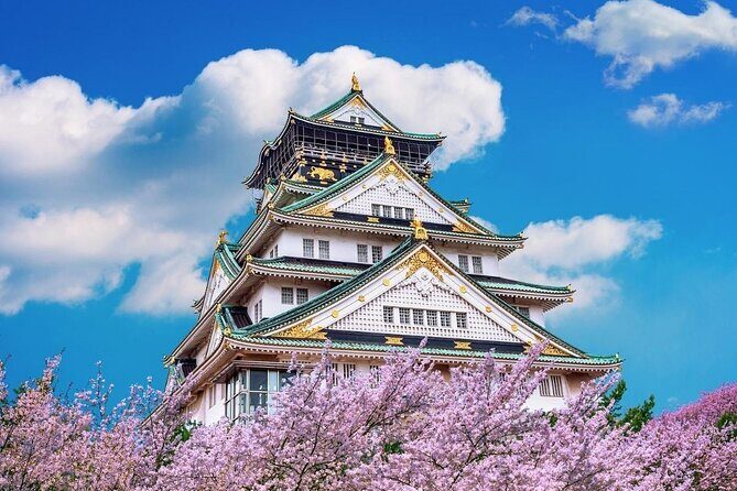 Osaka Cherry Blossom Tour with a Local: 100% Personalized Private - The Experience: What You Can Expect