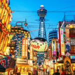 Osaka City English Private Tour Hotel Pickup Sightseeing - Who Will Love This Tour?