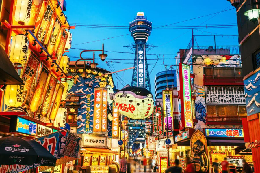 Osaka City English Private Tour Hotel Pickup Sightseeing - Who Will Love This Tour?