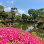Osaka: City Highlights Bike Tour - A Close Look at the Itinerary and Experience