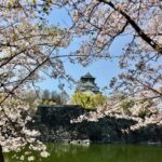 Osaka: Half-Day Private Guided Tour of the Castle - Exploring the Itinerary in Detail