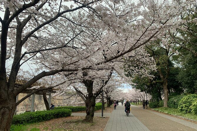 Osaka Highlights: 4Hrs Guided Walking Tour with a Native Expert - Who This Tour Suits Best