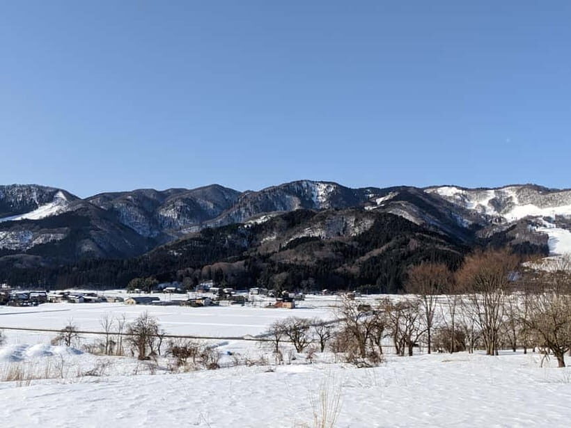 Osaka: Kinosaki Hot Springs and Temple Tour with Meals - Sake Tasting at a 300-Year-Old Brewery