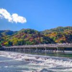 Osaka/Kyoto: Arashiyama, Amanohashidate & Tango Railway Tour - Final Thoughts: Is This Tour for You?