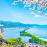 Osaka: Kyoto By The Sea with Amanohashidate & Ine no Funaya - What the Reviews Say