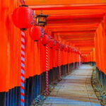 Osaka & Kyoto & Nara Top Hightlights English Speaking Tour - The Experience: What Travelers Are Saying