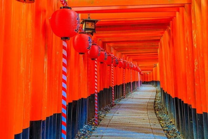 Osaka & Kyoto & Nara Top Hightlights English Speaking Tour - The Experience: What Travelers Are Saying