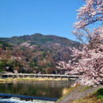 Osaka: Kyoto Scenic Day & Night Bus Tour with dinner (Kobe Beef) - A Look at the Itinerary in Detail