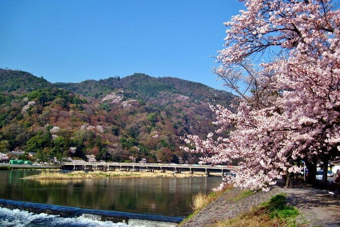 Osaka: Kyoto Scenic Day & Night Bus Tour with dinner (Kobe Beef) - A Look at the Itinerary in Detail