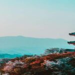 Osaka : Must-see & Hidden Gems Walking Tour - Analyzing the Experience: What Travelers Can Expect