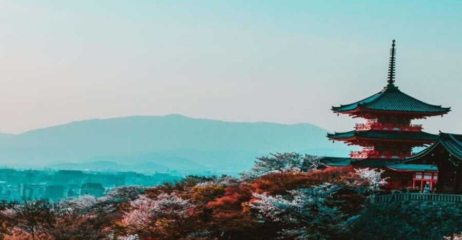 Osaka : Must-see & Hidden Gems Walking Tour - Analyzing the Experience: What Travelers Can Expect