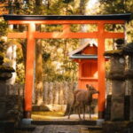 Osaka, Nara and Kyoto Day Trip with English Speaking Driver - Who Will Enjoy This Tour?