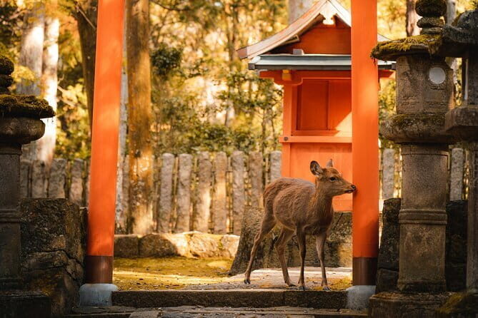 Osaka, Nara and Kyoto Day Trip with English Speaking Driver - Practical Details: Transportation, Duration, and Cost