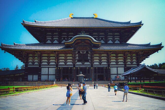 Osaka & Nara in 1-Day by Private Van with Local Japanese Guide - The Reviewers’ Perspective