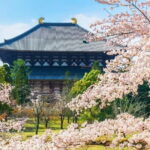 Osaka: Nara, Todaiji, Uji Matcha, and Hot Spring Tour - Practical Considerations and Value