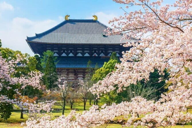 Osaka: Nara, Todaiji, Uji Matcha, and Hot Spring Tour - Practical Considerations and Value