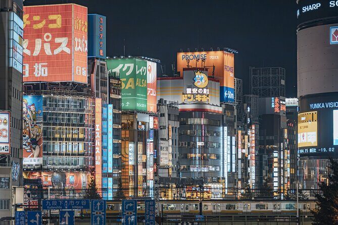 Osaka Nightlife Adventure: Bar Hopping, Shopping and Sightseeing - What makes this tour stand out