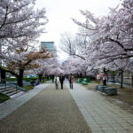 Osaka: Osaka Castle 3 hours Historical Walking Tour - Who Would Love This Tour?