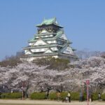 Osaka Private Customize Tour - Transportation and Logistics