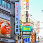 Osaka Private Tour by Public Transportation - The Practicalities of the Tour