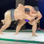 Osaka: Sumo Show and Kimono Haori Experience - Who Will Enjoy This Tour?