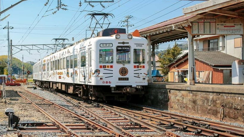 Osaka: Wakayama Cat Train, Seafood market, Hot Springs Tour - What We Think About the Tour’s Value