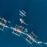 Oslob Whale Shark Group Tour with Sumilon Island & Tumalog Falls - In Drawing the Line: Is It Worth It?