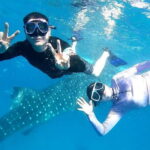 Oslob: Whale Shark Swim & Aguinid Falls Adventure Tour - What Makes This Tour Special