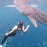 Oslob: Whale Shark Swim & Snorkeling Experience Tour - The Value of the Experience