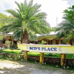 Oslob Whale Sharks and Moalboal Sardine Run, Sea Turtles Tour - An In-Depth Look at the Tour Experience