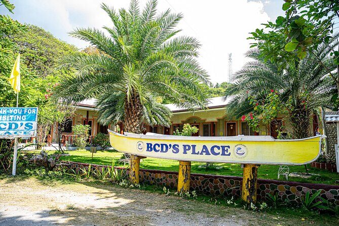 Oslob Whale Sharks and Moalboal Sardine Run, Sea Turtles Tour - An In-Depth Look at the Tour Experience