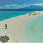 Oslob Whaleshark with Sumilon Island - Who Should Consider This Tour?