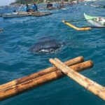 Oslob WhaleSharks, Aguinid Falls & Kawasan Main (Gatorade) Falls - Key Points