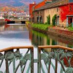 Otaru 4hr Private Trip with Government-Licensed Guide - Practical Details and What You Should Know