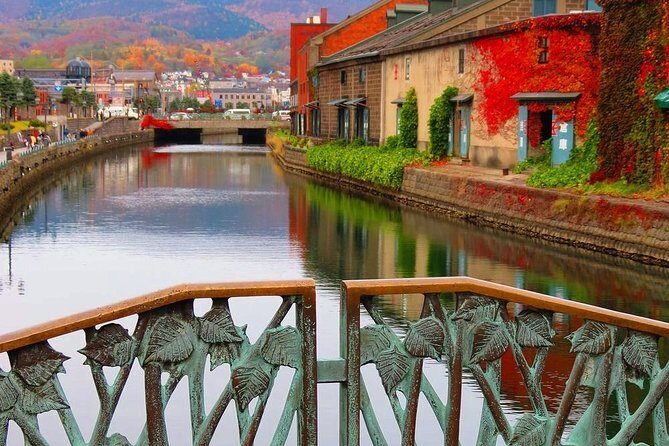 Otaru 4hr Private Trip with Government-Licensed Guide - Practical Details and What You Should Know