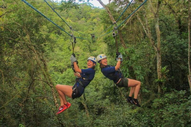 Outdoor Zipline Adventure - The Mule Ride and Mountain Vistas