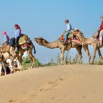 Overnight Camel Safari - Sleeping under the Stars - Real Traveler Experiences: Authentic Feedback