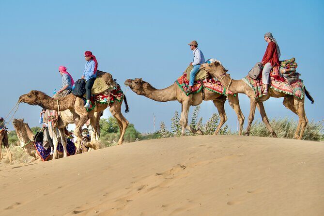 Overnight Camel Safari - Sleeping under the Stars - Real Traveler Experiences: Authentic Feedback