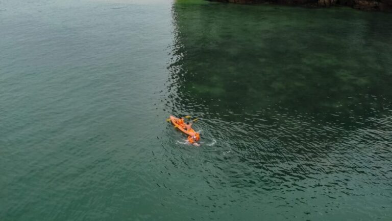 Overnight Cruise in Lan Ha Bay - 2 Days 1 Night Discovery - A Closer Look at the Experience