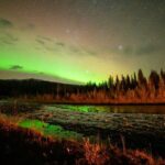 Overnight Denali National Park plus Aurora Chase Tour - Who This Tour Is Best For