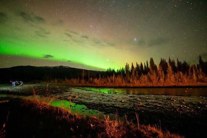 Overnight Denali National Park plus Aurora Chase Tour - Who This Tour Is Best For